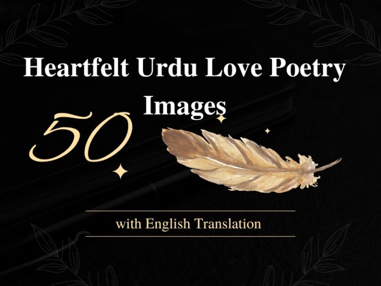 50 Heartfelt Urdu Love Poetry Images with English Translation
